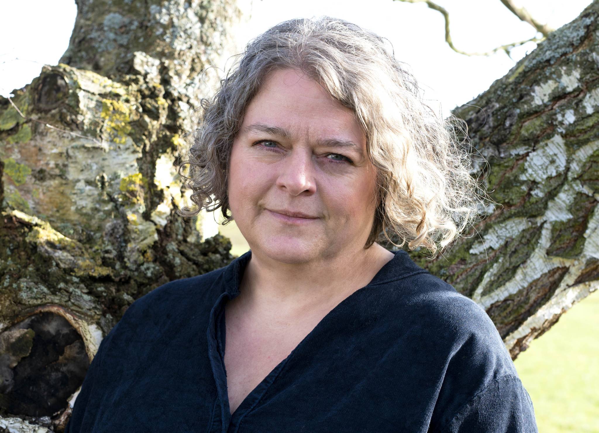 CHAKRAER, SYVÅRSPERIODER OG GRÆNSETEMAER ved Heidi Hansen - Teosofisk ...